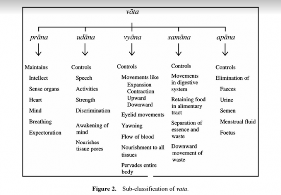 Ayurveda : a distinctive approach to health and disease – Indiafacts